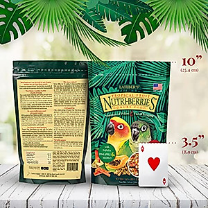LAFEBER'S Tropical Fruit Nutri-Berries Conure Food, Made with Non-GMO and Human-Grade Ingredients, for Conures (Tropical Fruit 10 oz)
