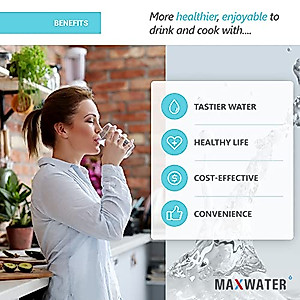 Max Water CTO 1 Micron,10" x 2.5" Replacement Filter Cartridge, Coconut Shell Carbon Block for Whole House Water Filtration System and Standard RO (Reverse Osmosis) Filters - Pack of 5