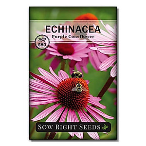 Sow Right Seeds - Purple Coneflower/Echinacea Flower Seeds for Planting - Non-GMO Heirloom Seed - Full Instructions to Plant an Herbal Tea Garden - Great Gardening Gift (1)…