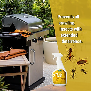 NatroZing Ant & Roach Killer 11 oz Indoors and Outdoors, Ant Spray for Home, Ant Repellent for House, Fast Kill, Prevents for Weeks, Also Kills Roaches Spiders Centipedes