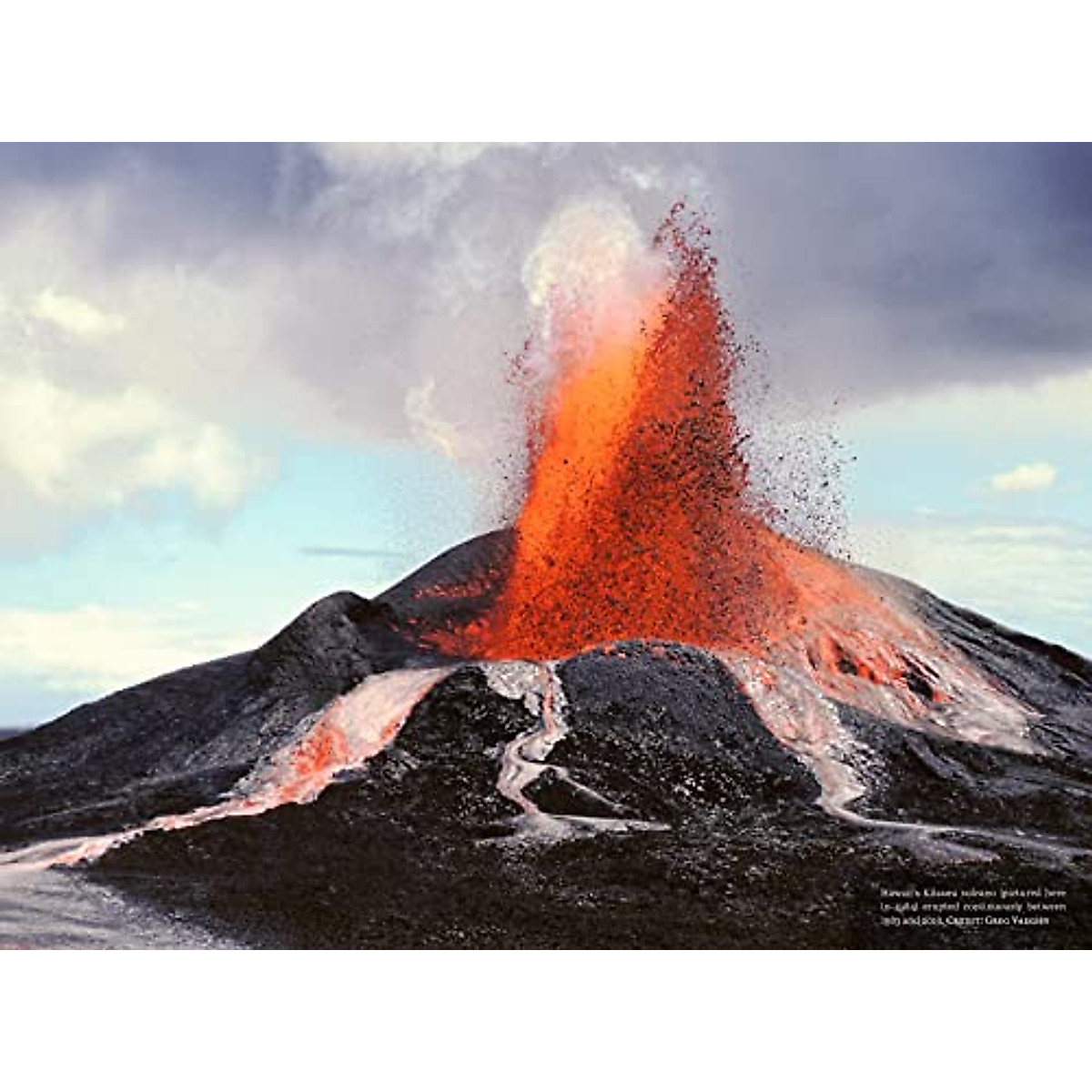 Audubon Engagement Calendar 2024: A Tribute to the Wilderness and Its Spectacular Landscapes