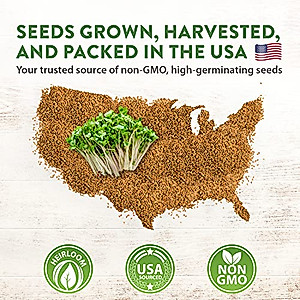 Alfalfa Sprout Seeds for Sprouting and Microgreens (16oz) Premium USA Alfalfa Seeds Indoor or Outdoor Planting Sprouts | Non-GMO | Micro Greens Seed in Resealable Bag