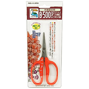 CHIKAMASA B-500SF Stainless Steel Fluorine Treated Grape Care Shears