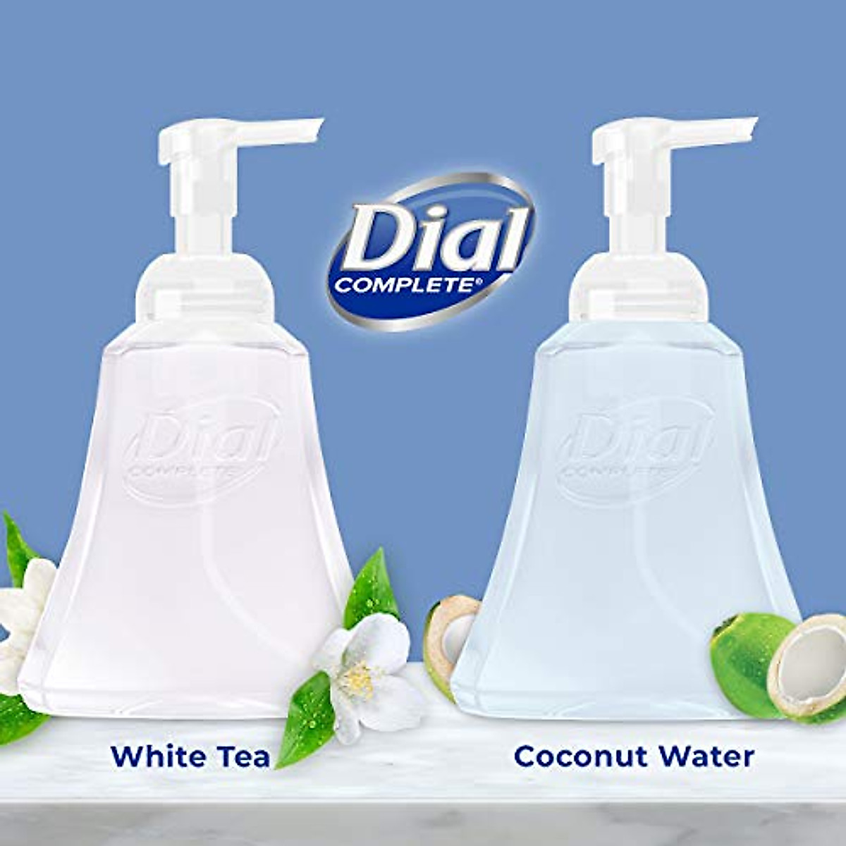 Dial Complete Antibacterial Foaming Hand Wash, Coconut Water/Soothing White Tea, 15 fl oz (Pack of 4)