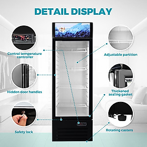 Bluelinecool 12.5 cu.ft Commercial Refrigerators with 1 Glass Door, Beverage Fridge with LED Light Display Upright Merchandiser, Drink Cooler with 4 Adjustable Shelves Black ETL Approved