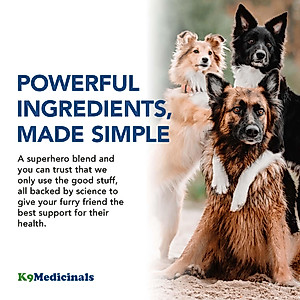 Total Pet Health - Dog Immune Support - Mushroom Powder For Dog Immunity - Supplement For Joints, Skin, Coat - Digestive Health - Cognitive Function - Small and Large Breeds - Beef Flavor, 30 servings