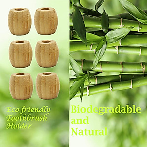 Bamboo Toothbrush Holder Pack of 12 - Biodegradable and Eco Friendly Compostable Wooden Holders Organizer for Large Small Bathroom - Small Countertop Storage Stand for Bamboo Tooth Brush