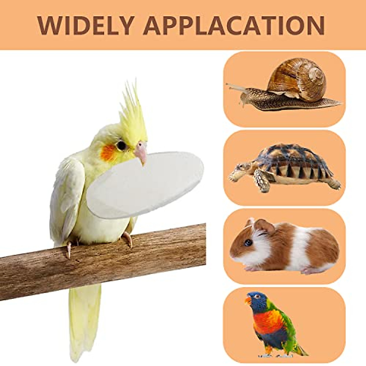 Jmxu's Cuttlebone for Birds, Natural Bird Calcium for Parakeet Cuddle Bone for Cockatiels Tortoise, 4.5 to 5.5 inch