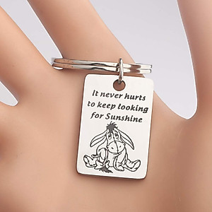 KUIYAI It Never Hurts to Keep Looking for Sunshine Bracelet Donkey Quote Bracelet Inspiration Gift (Keychain)