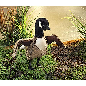 Folkmanis Canada Goose, Brown/a