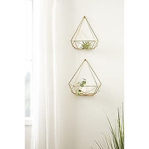 Kate and Laurel Prouve Decorative Geometric Multi-use Metal Wall Display Shelves, Gold, 2 Piece Set