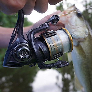 Cadence Lux Spinning Fishing Reels - Ultra Smooth Powerful Spinning Reel with 9+1 Shielded BB, Carbon Fiber Frame, 36LBs Max Drag, 5.2:1-6.2:1 High Speed Gear Ratio & Braid-Ready Spool (3000)