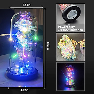 AUSAYE for Mom,Women's Gift Gold Butterfly Birthday Gifts Colorful Preserved Rose Gift Flower, Preserved Rose Flower in Glass Dome, Unique Gift for Her, Mom,Grandma