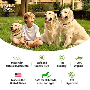 Brisk Paw Green Lawn Dog Vitamins and Supplements | Enriched with Dog Probiotic, Cranberry, and Spirulina | Dog Urine Neutralizer for Grass and Help Yellow Burn Spots | 120 Dog Chews