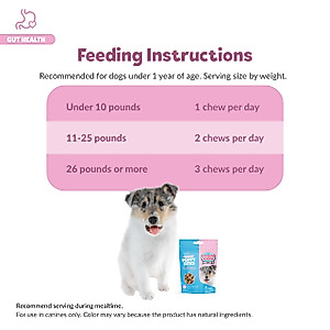 Snuggle Puppy Puppy Bites Gut Health Supplement - Dog Probiotics & Prebiotics for Gut Health - Pet Supplement and Supplies for Dog Health - Dog Digestive Health Support - 60 Soft Chews