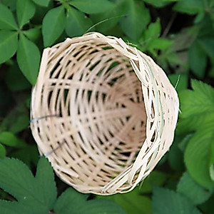 ＫＬＫＣＭＳ 20pcs Woven Bird Breeding Nest Bed Birdhouse Hook Included for Finch