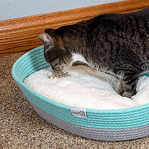 Kitty City Premium Natural Catnip