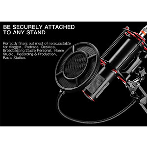 Mic Pop Filter, Professional Metallic Mic Pop Filter Mesh for Blue Yeti and Any Other Mic, ARISEN Dual Layered Microphone Pop Filter, Mic Filter with A Flexible 360° Gooseneck Clip Stabilizing Arm