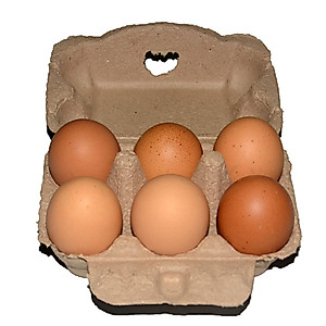 Happyyami 20pcs Egg Cartons Egg Tray Holder 6 Count Eggs Keeper Egg Bulk Container for Family Farm Market Camping Picnic Travel