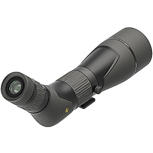 Leupold SX-2 Alpine HD 20-60x80mm Angled Spotting Scope in Shadow Gray Finish