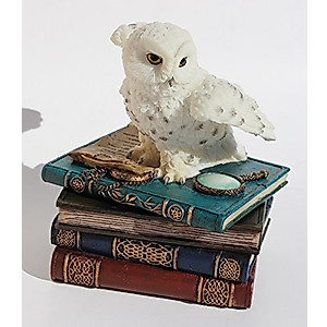 US 4.75 Inch Snow Owl Flap Wings on Books Trinket Box, White Color