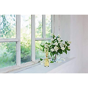 Urban Naturals Crisp White Linen Reed Diffuser Gift Set | with Citrus, Ozone, Ylang-Ylang, Lilies & Sandalwood Scent Notes for a Fresh, Clean Cotton Smelling Home | Made in The USA – Great Deal!