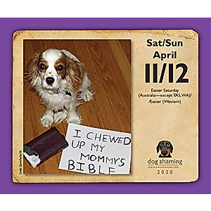 Dog Shaming 2020 Day-to-Day Calendar