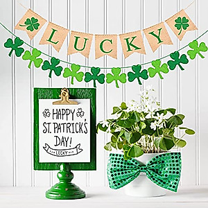 DmHirmg St Patricks Day Decorations,St Patricks Day Garland, Hanging Swirls with Garland,St Patricks Day Banner Ceiling Hanging and Wall Decoration (3 Sheets)