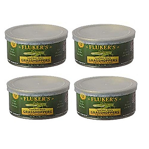 Fluker's Gourmet Style Canned Grasshoppers 1.2 oz - Pack of 4