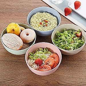 Lnrkai 5 PCS Cereal Bowls Pasta Bowls, 24 OZ Unbreakable Wheat Straw Bowls Lightweight Durable Snack Bowls Dishwasher & Microwave Safe Bowls for Adult, Rice, Soup (Pink)