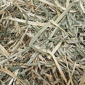 Small Pet Select-Sampler Box, 2ND Cutting, 3RD Cutting Timothy Hay, Oat Hay, & Orchard Hay