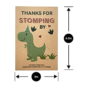 Y_Bong Dinosaur Party Favors - Dinosaur Birthday Party Supplies - 24 Pack Dino Egg Hatching Card Bulk - Funny Birthday Party Decorations for kids Boys Girls Toddler