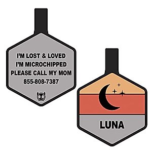 Silent Dog Tag Personalized with 5 Lines of Custom Deep Engraved Durable Soundless Silicone Pet ID Name Tag Hexagon Orange