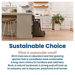 ECR4Kids Reach-Up Step Stool with Handles, Kids Furniture, Grey Wash