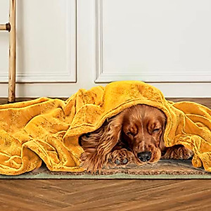 PAVILIA Fleece Blanket Throw | Super Soft, Plush, Luxury Flannel Throw | Lightweight Microfiber Blanket for Sofa Couch Bed (Mustard Yellow, 50x60 inches)