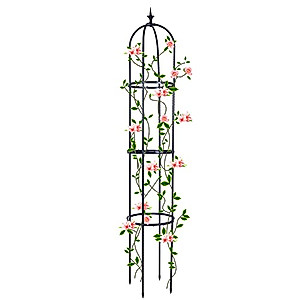 Trellis for Climbing Plants Outdoor, deaunbr Garden Plant Support Tall Tower Obelisk Vine Cages Plastic Coated Rustproof Metal Pipe Supports for Outdoor Indoor, Potted Plants, Tomato, Rose - 1 Pack