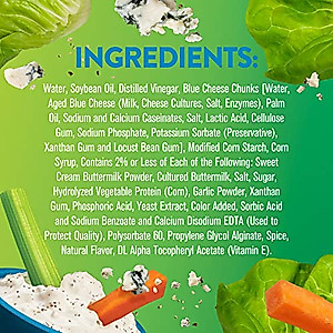 Wish-Bone Chunky Blue Cheese Salad Dressing, 15 FL OZ