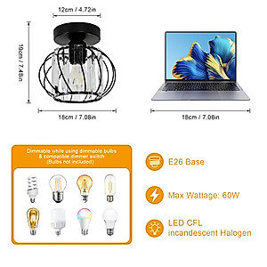 DELIPOP Semi Flush Mount Ceiling Light, Dimmable Small Metal Cage Hallway Light Fixtures Ceiling Lamps, Farmhouse Ceiling Light Fixture, Industrial Crystal Chandelier for Corridor Bathroom Kitchen