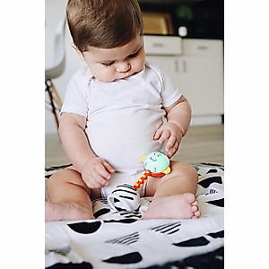 SmartNoggin NogginStik Developmental Light-Up Rattle for Infants up to 12 months