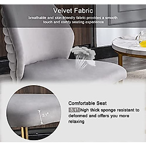 Guyou Grey Velvet Dining Chairs Set of 2, Modern Upholstered Dining Room Chairs Tufted Armless Side Chair with Gold Legs and Ring Pull for Kitchen Living Room Bedrooms Vanity (Grey)