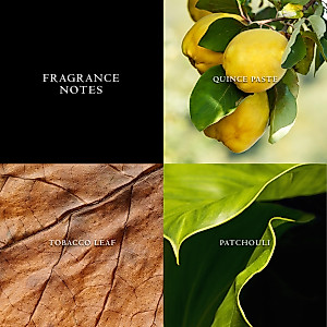 John Varvatos Men's Cologne, Vintage Eau de Toilette EDT Spray, Aromatic Chypre Scent with Notes of Quince Paste, Patchouli & Tobacco Leaf, 2.5 fl oz