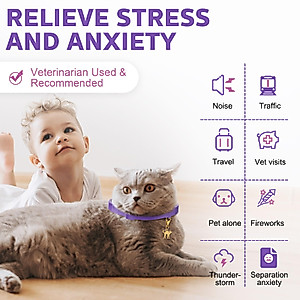 Silkfly 8 Pcs Calming Collar for Cats Adjustable Cat Calming Collar with 8 Pendant Calming Pheromone Collar for Cat Pheromone Kittens Behavior and Calming Collar Relieve Anxiety Stress for Kitten Cat