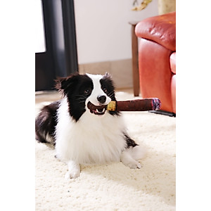 Tamu style Funny Dog Toy with Interactive Squeaky Sound and Plush Cotton Filled Softness for Small, Medium, and Large Puppies and Dogs, Fun Novelty Play