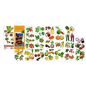 Costa Rica Tropical Fruits Identification Guide (Laminated Foldout Pocket Field Guide) (English and Spanish Edition)