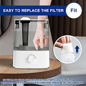 Humidifier Replacement Filter Compatible with Levoit Dual150 Dual200S Classic300 Classic300S LV600S OasisMist450S OasisMist600S Superior 6000S Top-Fill Humidifiers - 10 Filters and 2 Clean Fish
