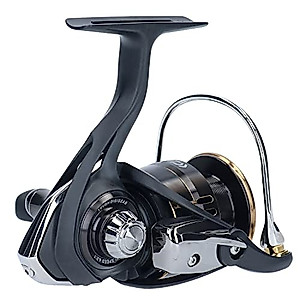 DAIWA 20 Ballistic EX LT, 4000D-C, Spinning Fishing Reel
