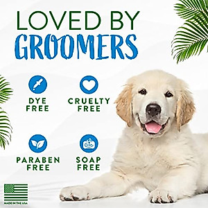 TropiClean Lime & Coconut Deshedding Dog Shampoo for Shedding Control | Natural Pet Shampoo Derived from Natural Ingredients | Cat Friendly | Made in The USA | 1 gal.