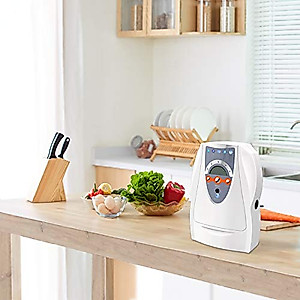 WSTA Portable Ozone Purifier,Multipurpose Ozone Machine for Air, Water, Food, Home, Room, Office-White