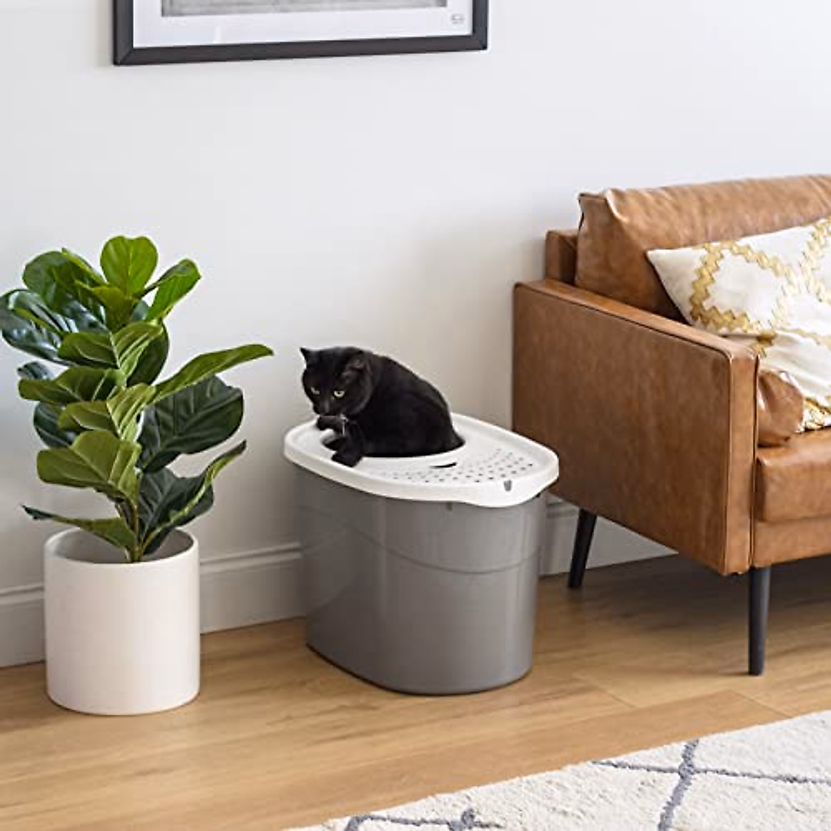 IRIS USA Oval Top Entry Cat Litter Box with Scoop, Kitty Litter Tray with Litter Catching Lid Less Tracking Dog Proof and Privacy Large, Gray/White