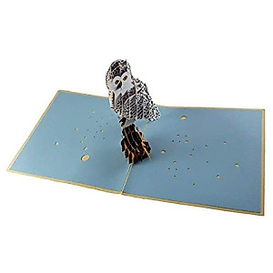 iGifts And Cards Magical Owl 3D Pop up Greeting Card - Animal, Zoo, Cute Bird, Nocturnal, Fun, Graduation, Happy Birthday, Just Because, Love, Friendship, Thank You, Special Occasion, BFF, Miss You